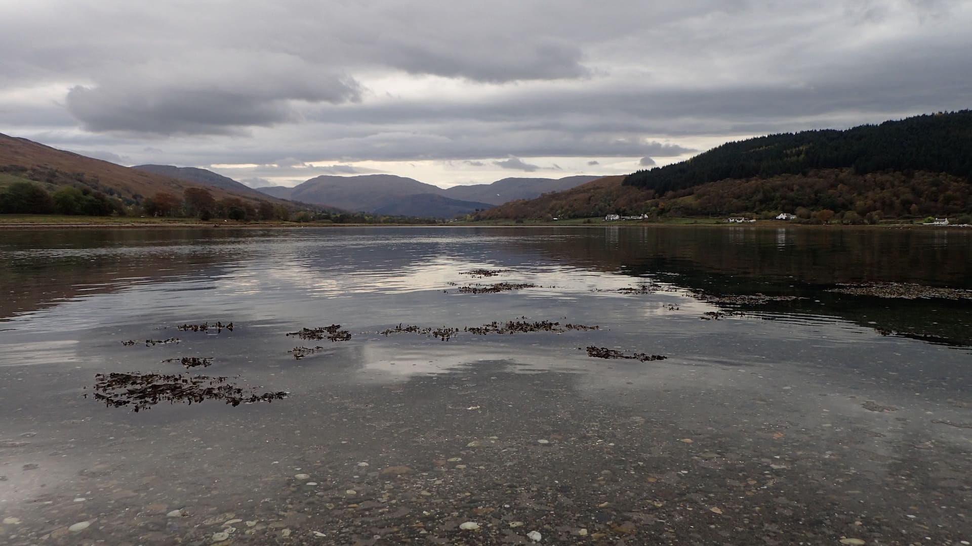 2015-10-26 Oban, Lismore, Shuna Island, Castle Stalker - saturnbull